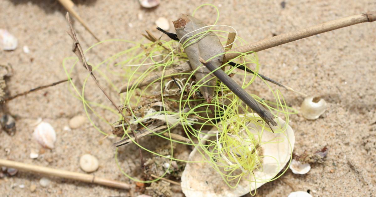 City of Lubbock, Community Partners to Unveil New Fishing Line ...