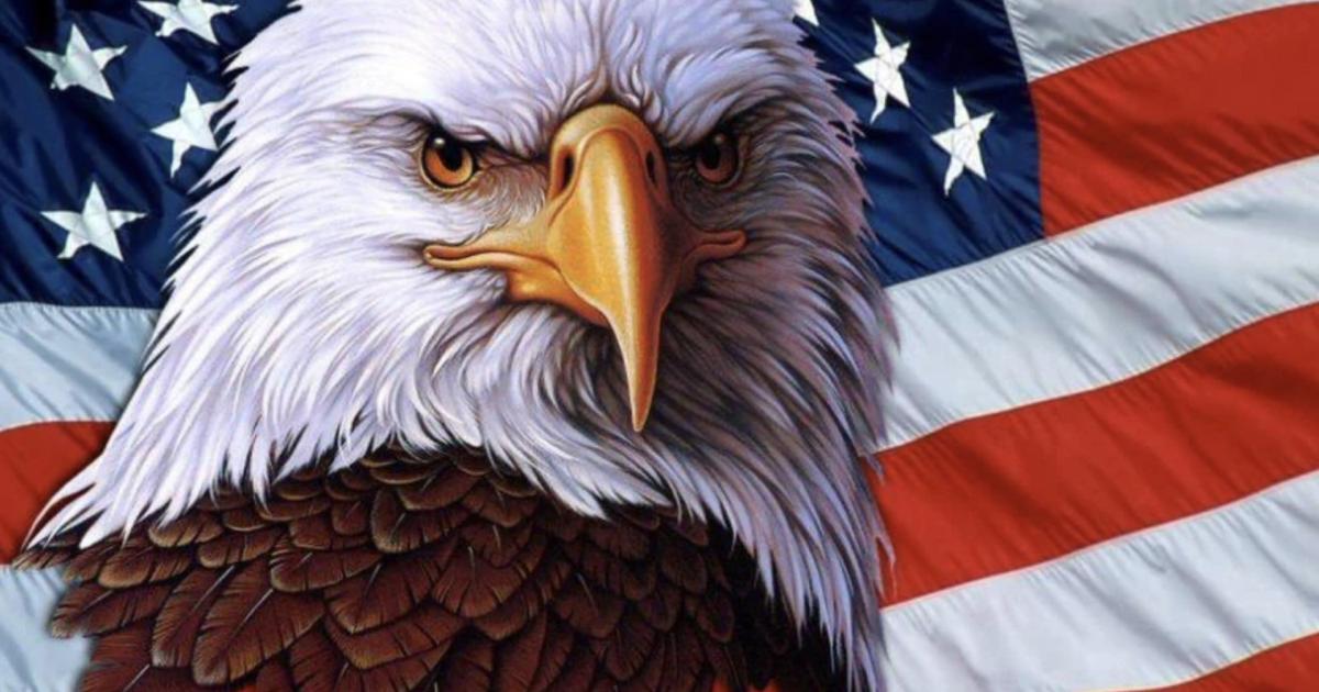 The Bald Eagle is Officially the National Bird of the U.S.