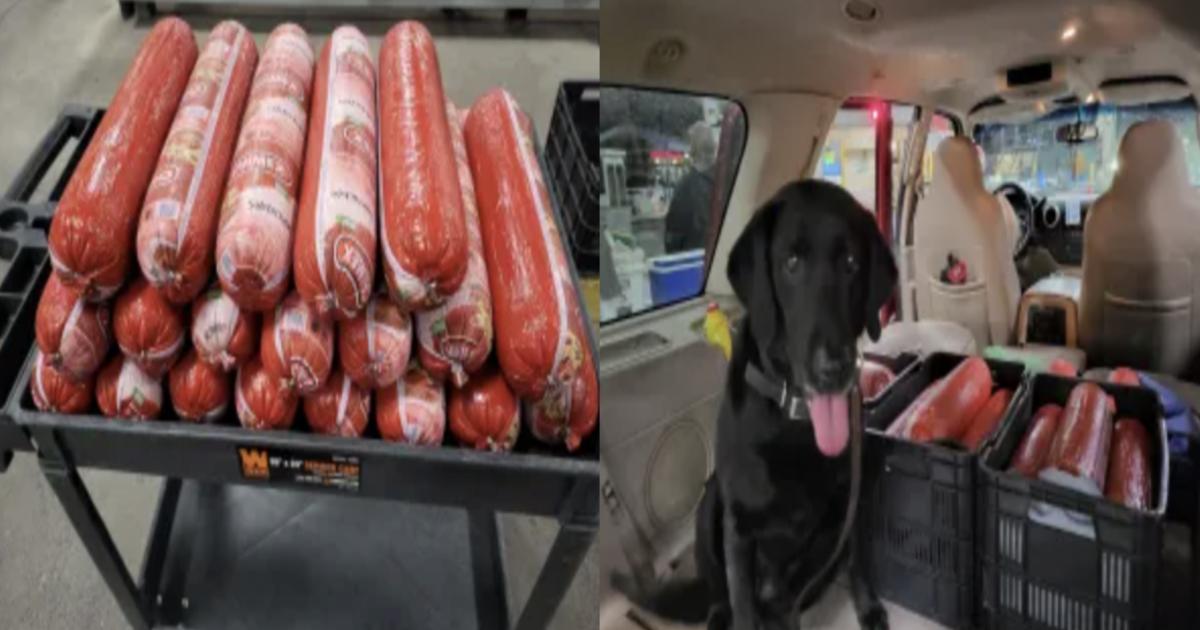 Bologna Smuggler Caught Again After 22 Rolls Seized at Border